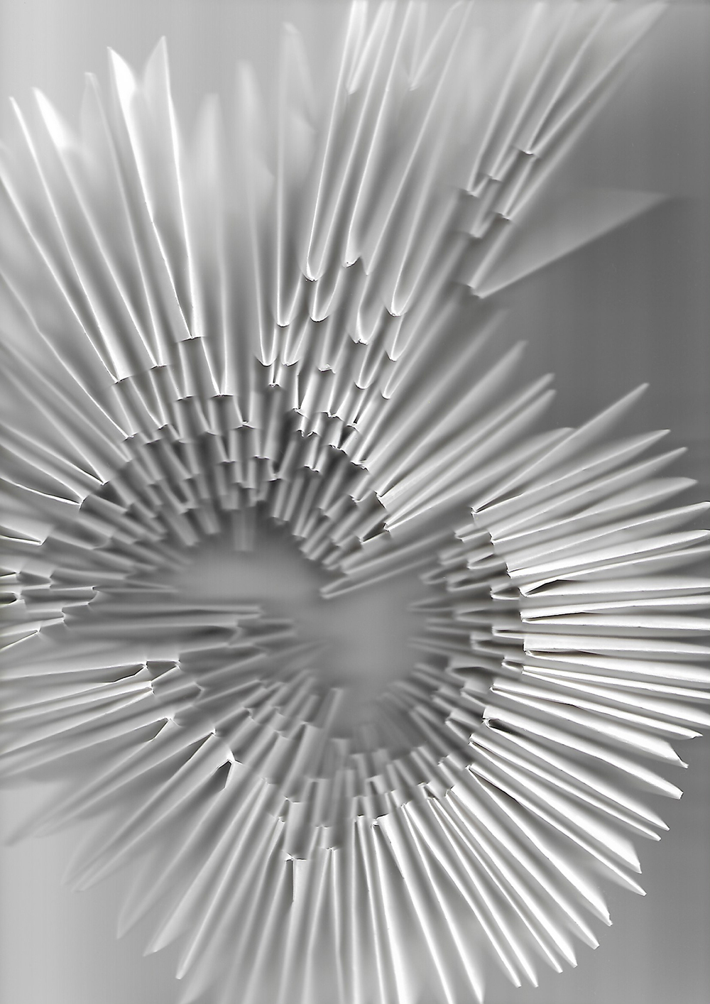 Michelle Dabul — origami